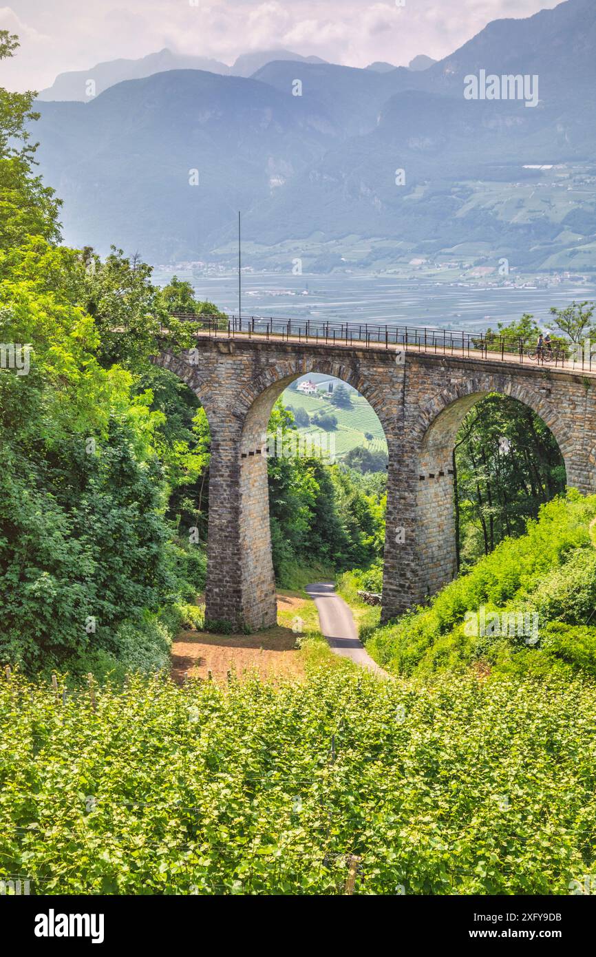 Ferrovia del vino hi-res stock photography and images - Alamy