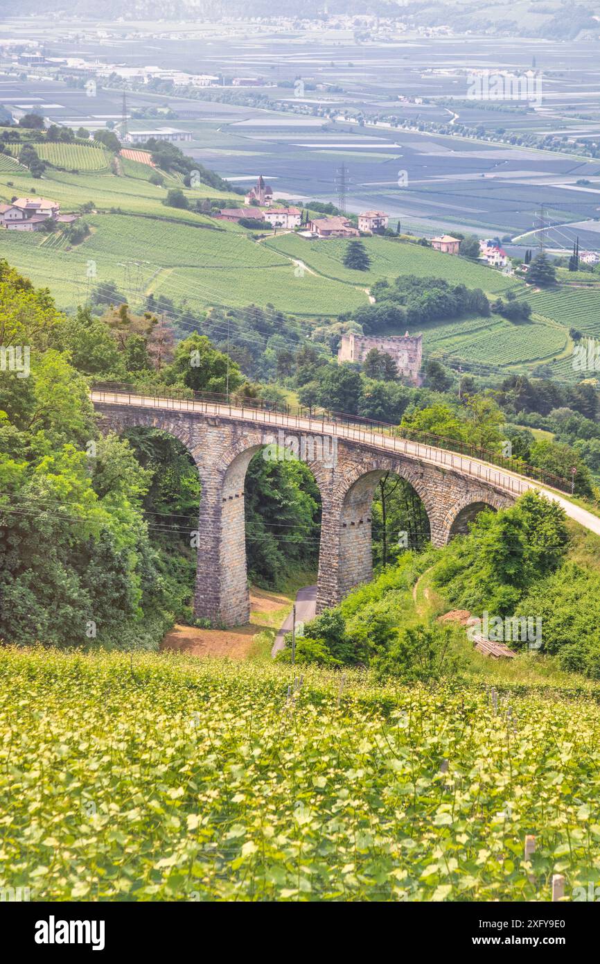 Ferrovia del vino hi-res stock photography and images - Alamy