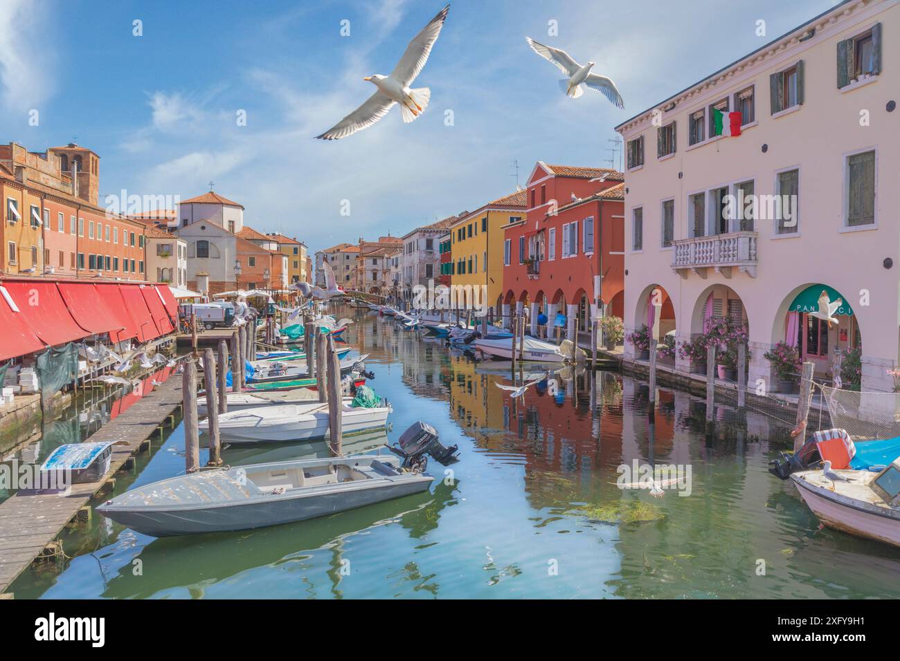 View of the Canal Vena with red fish market structure and many seagulls ...
