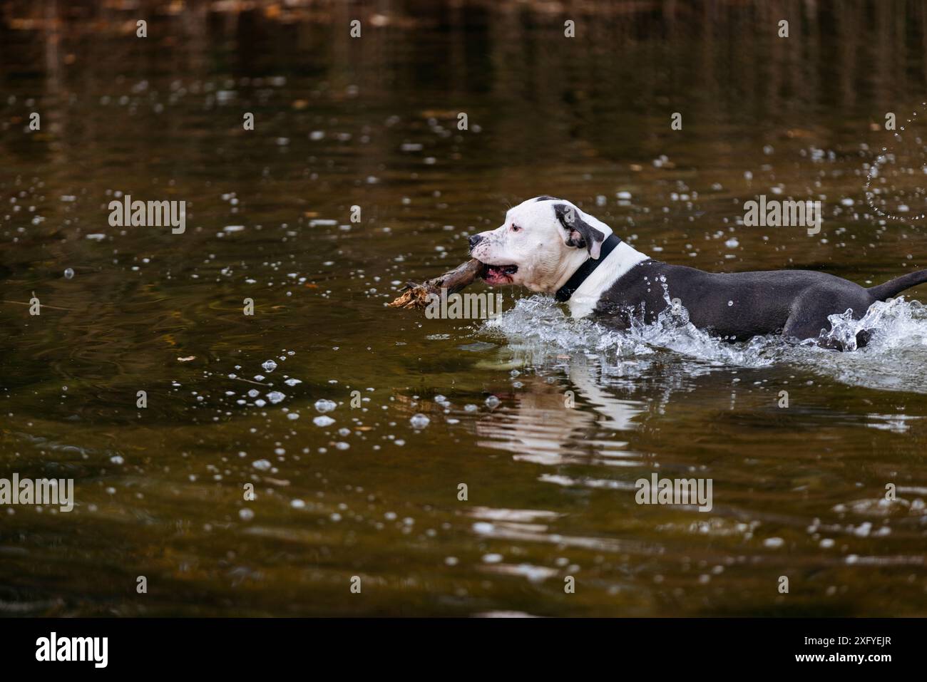 Male body floating in water hi-res stock photography and images - Alamy