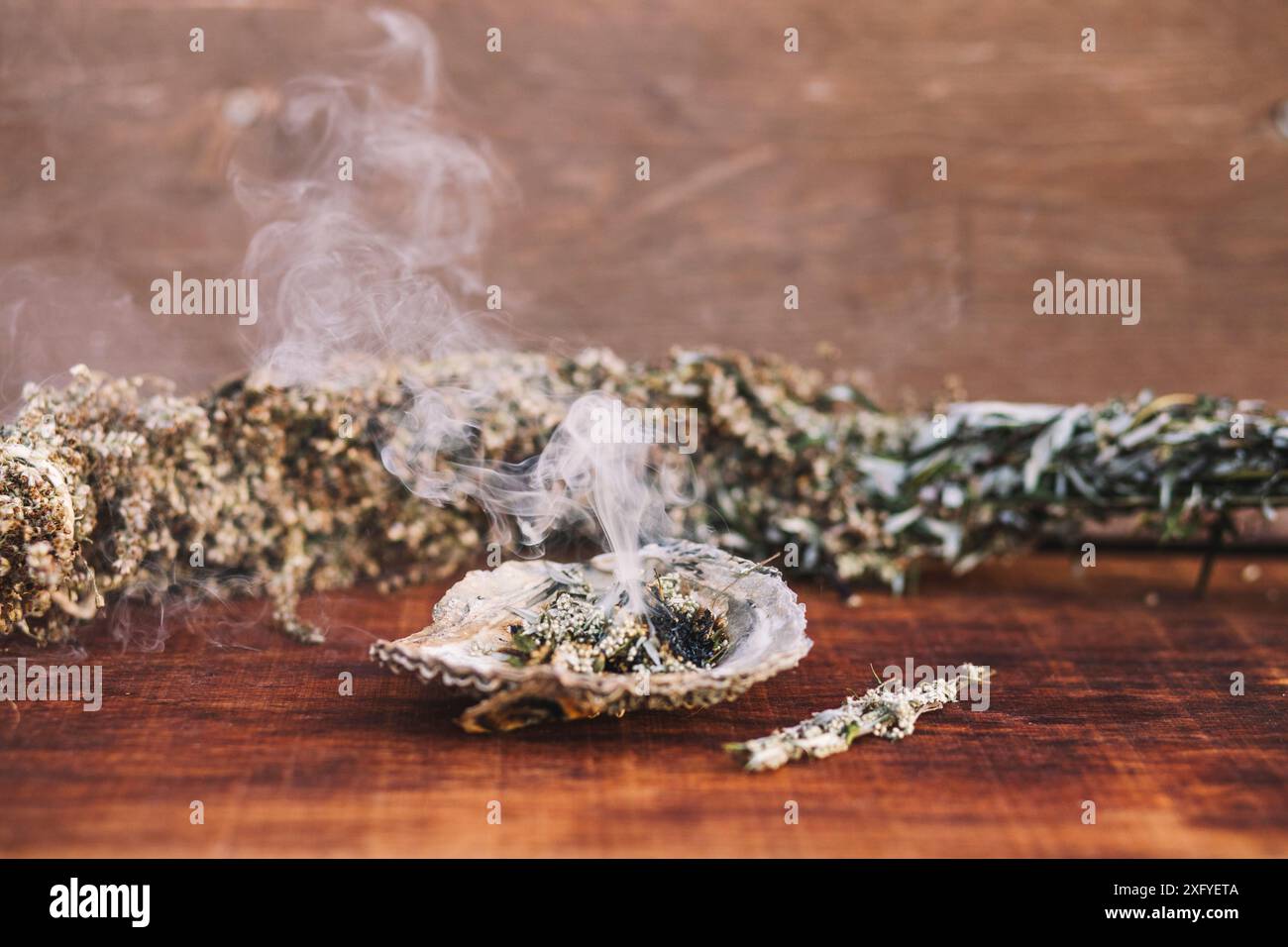 Dried mugwort lit in a shell for soothing smoke Stock Photo - Alamy