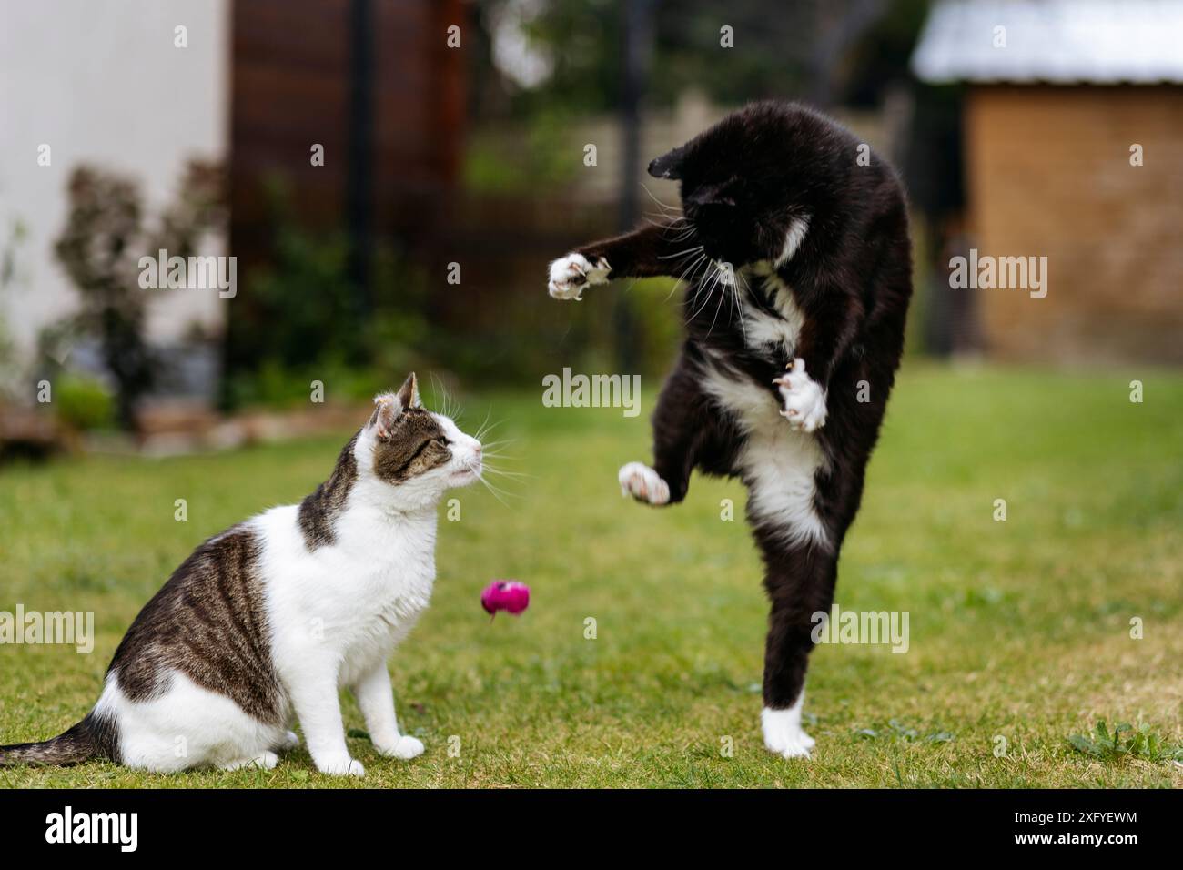 Person sits in house hi-res stock photography and images - Alamy