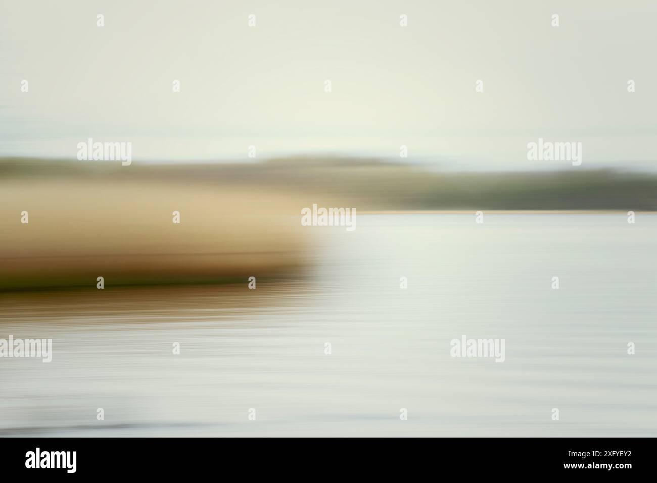 Burr reeds hi-res stock photography and images - Alamy