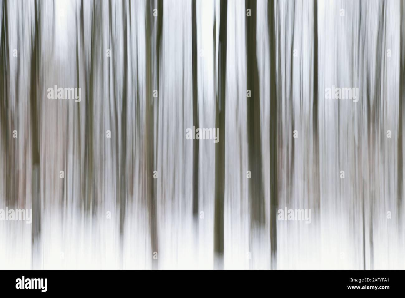 The wintry forest in the Quellental, (long exposure and drawing ...