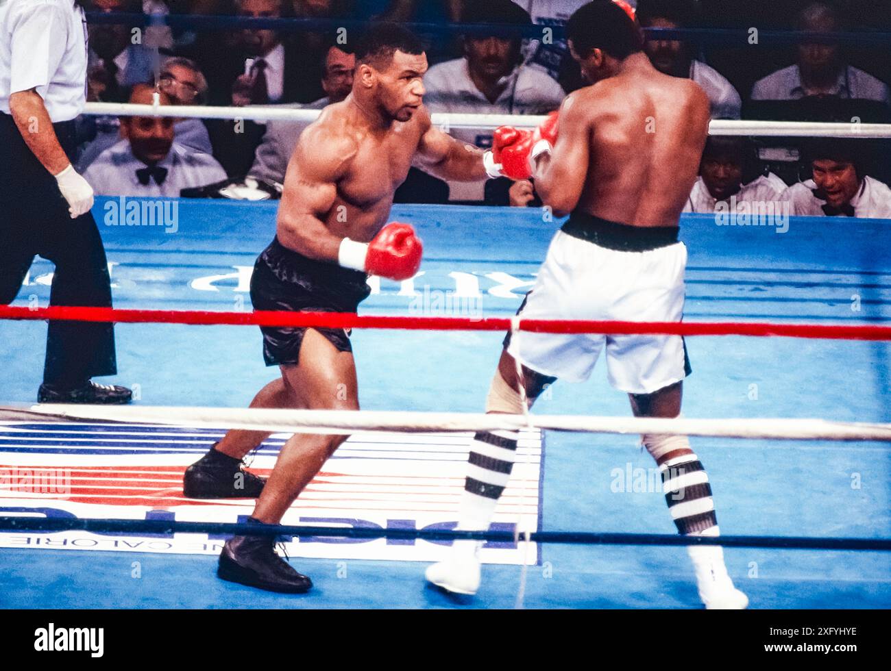 Mike Tyson knocks out Michael Spinks in the first round of their heavyweight championship fight ...