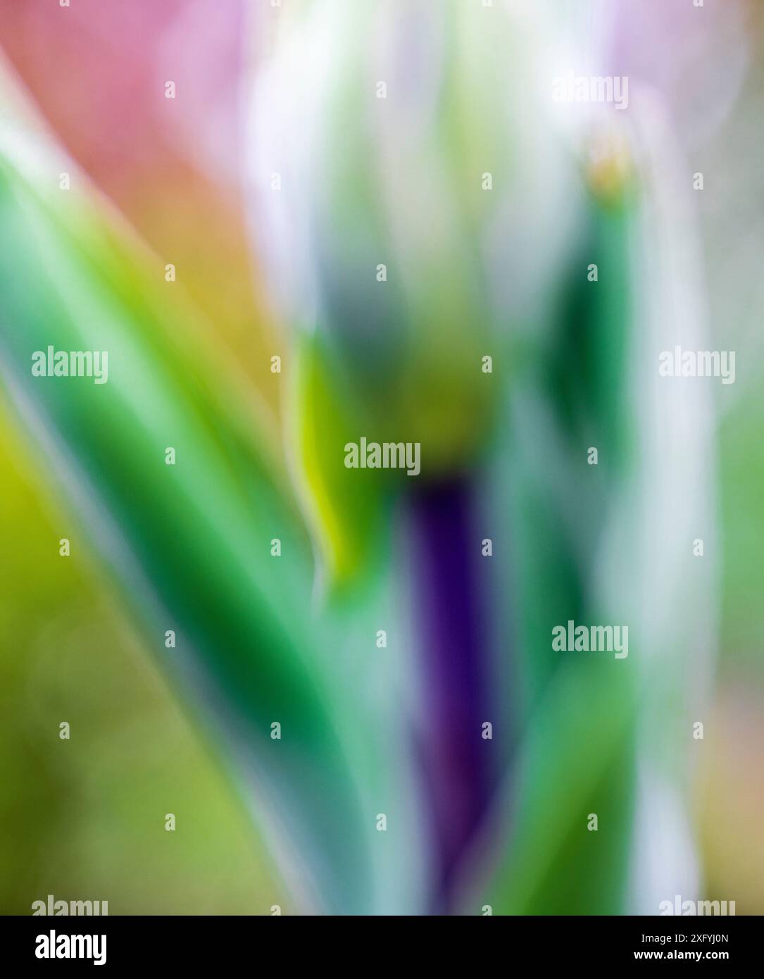 Abstract nature background from hi-res stock photography and images - Alamy