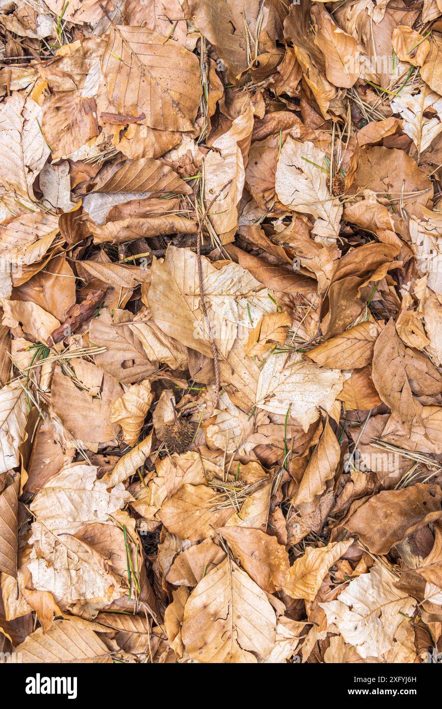 Filling the format hi-res stock photography and images - Alamy