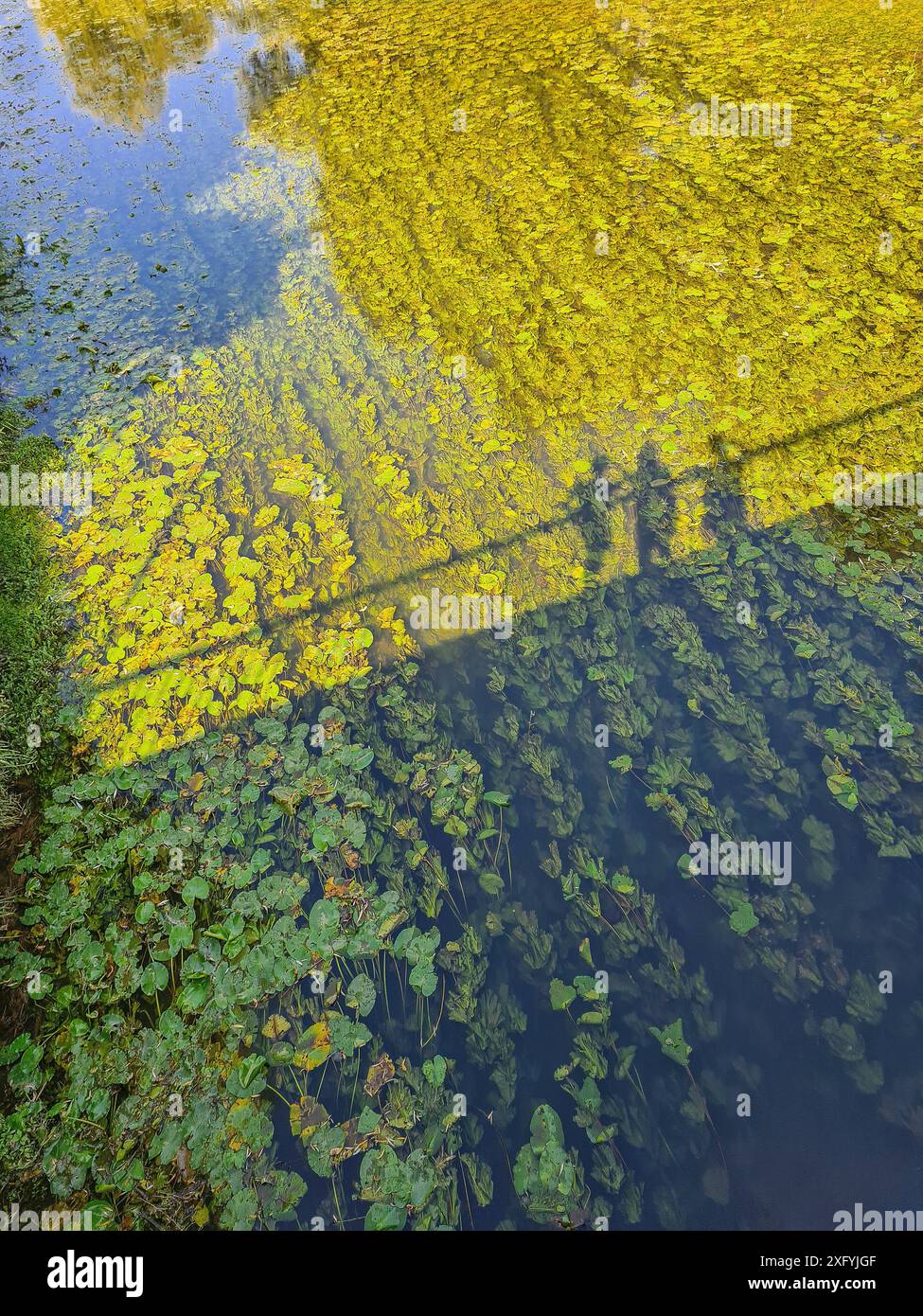 Three shadows of people on a bridge are reflected on the river by sun ...