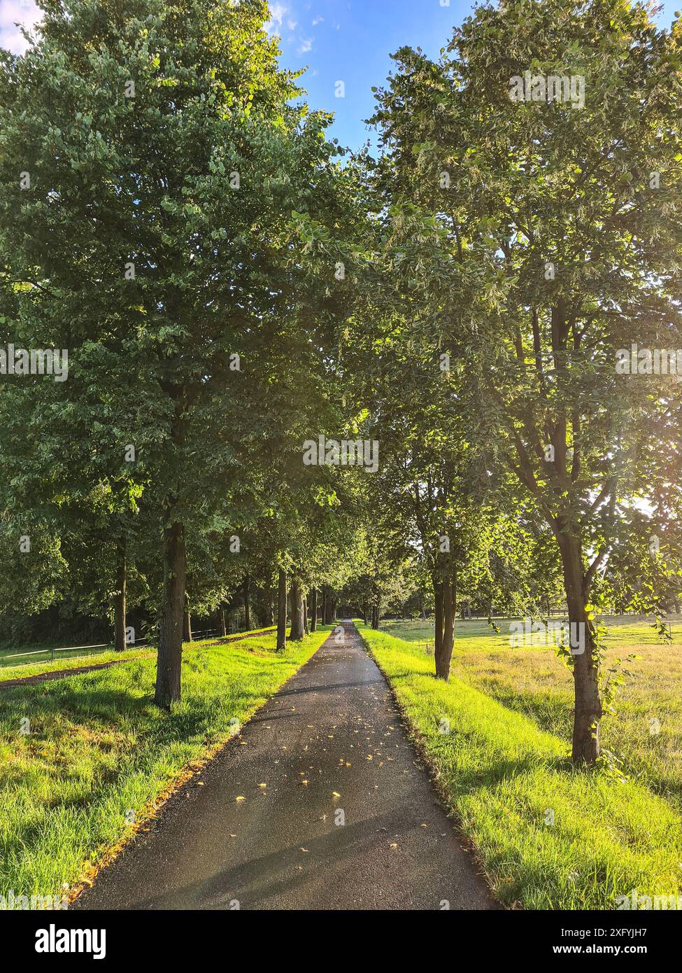 Cycle path between green trees fields in local recreation area hi-res ...