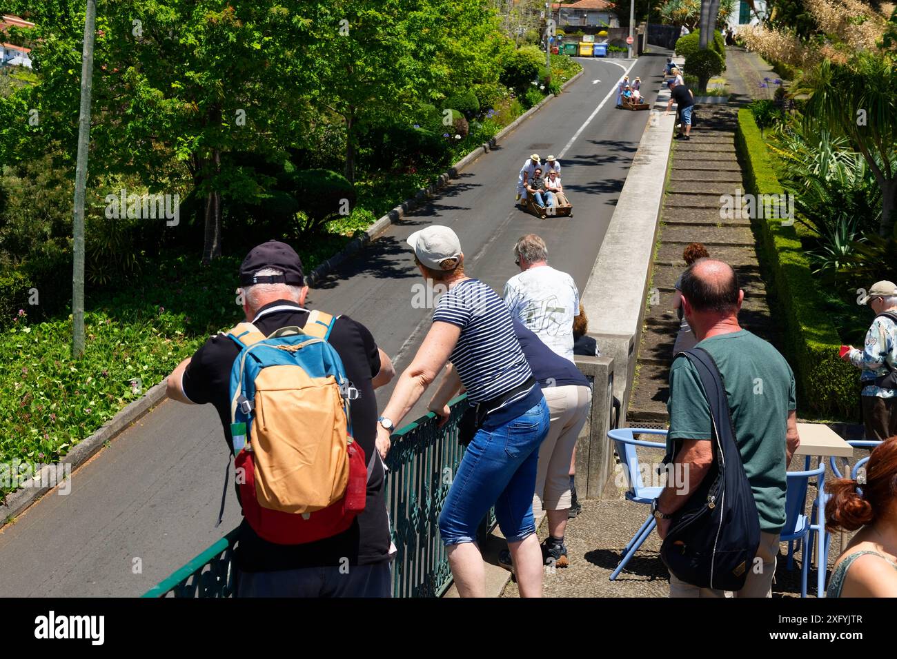 Toboggan ride from Monte to Funchal, Monte Palace, Tropical Garden ...