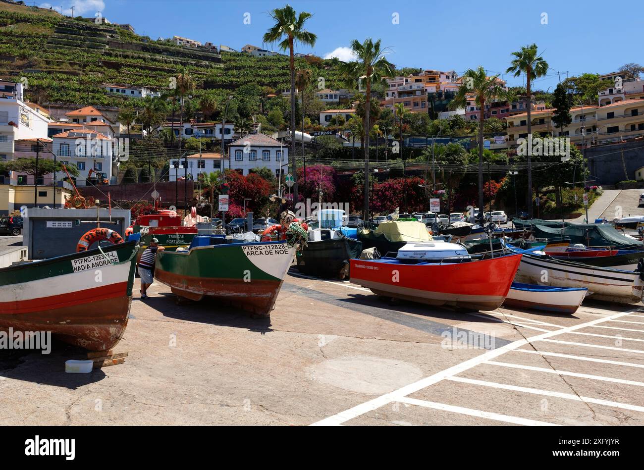 Fishing boats in the harbor of Camara de Lobos, Ilha de Madeira ...