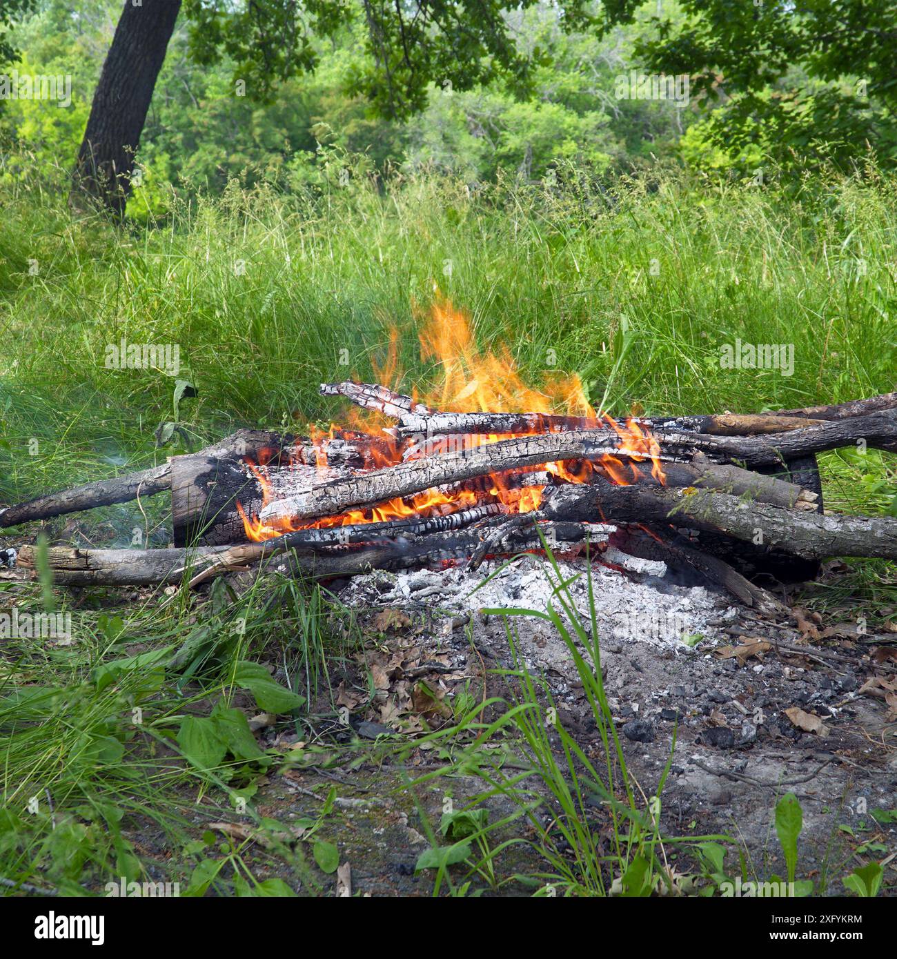View of the burning campfire in the camp. Campfire in the green grass ...