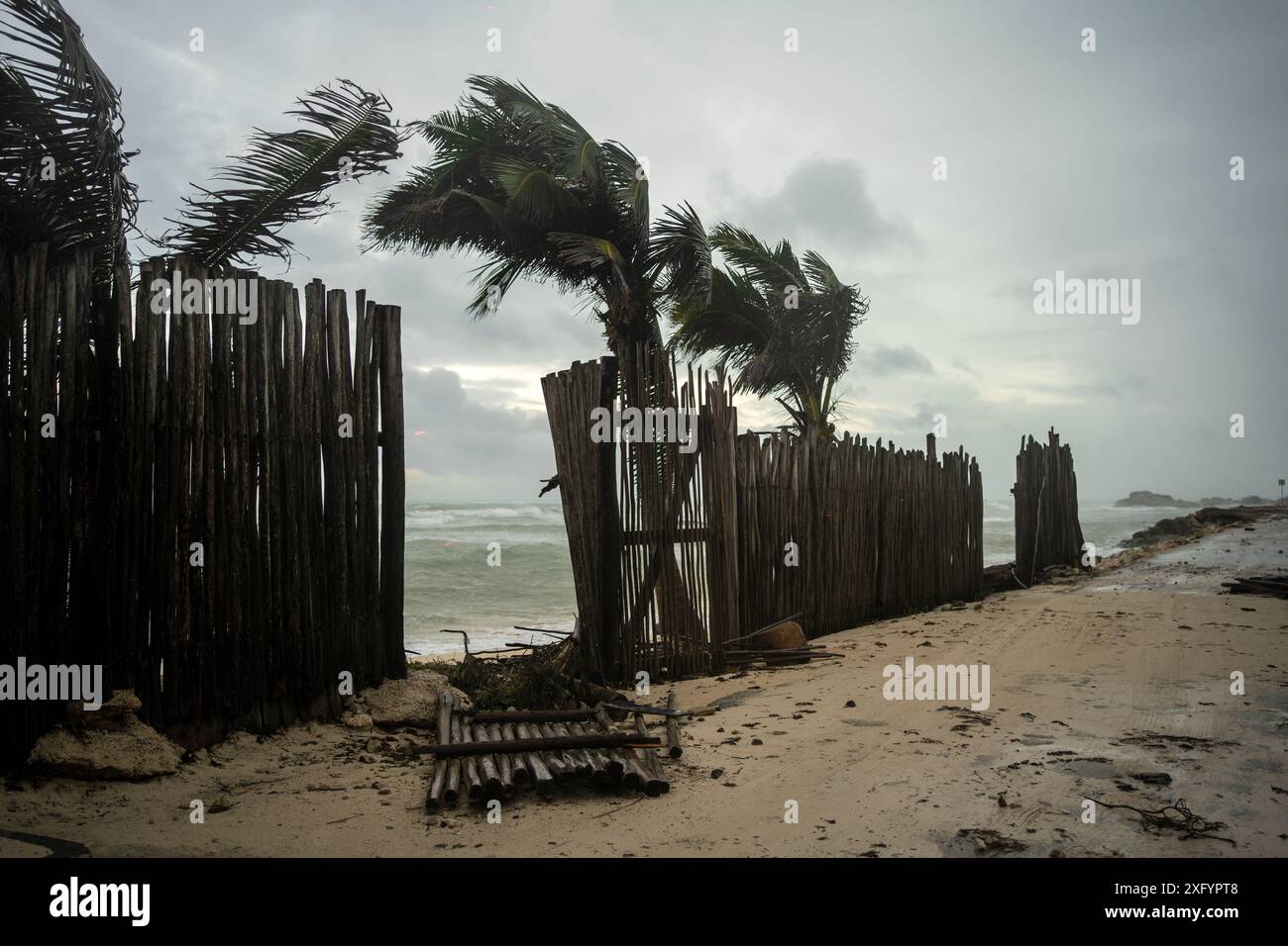 05 July 2024, Mexico, Tulum: Damage on the beach in the vacation region ...