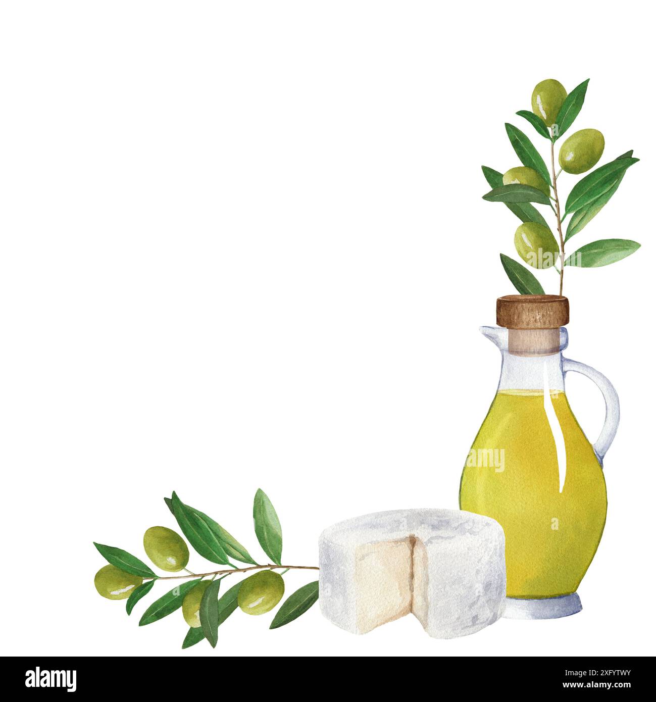 Corner composition with jug with olive oil, soft cheese and branches ...