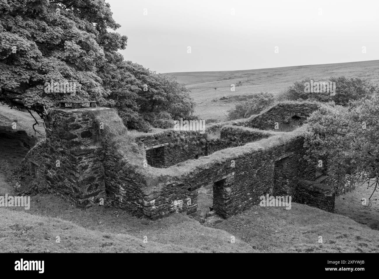 Exmoor national park and people Black and White Stock Photos & Images ...