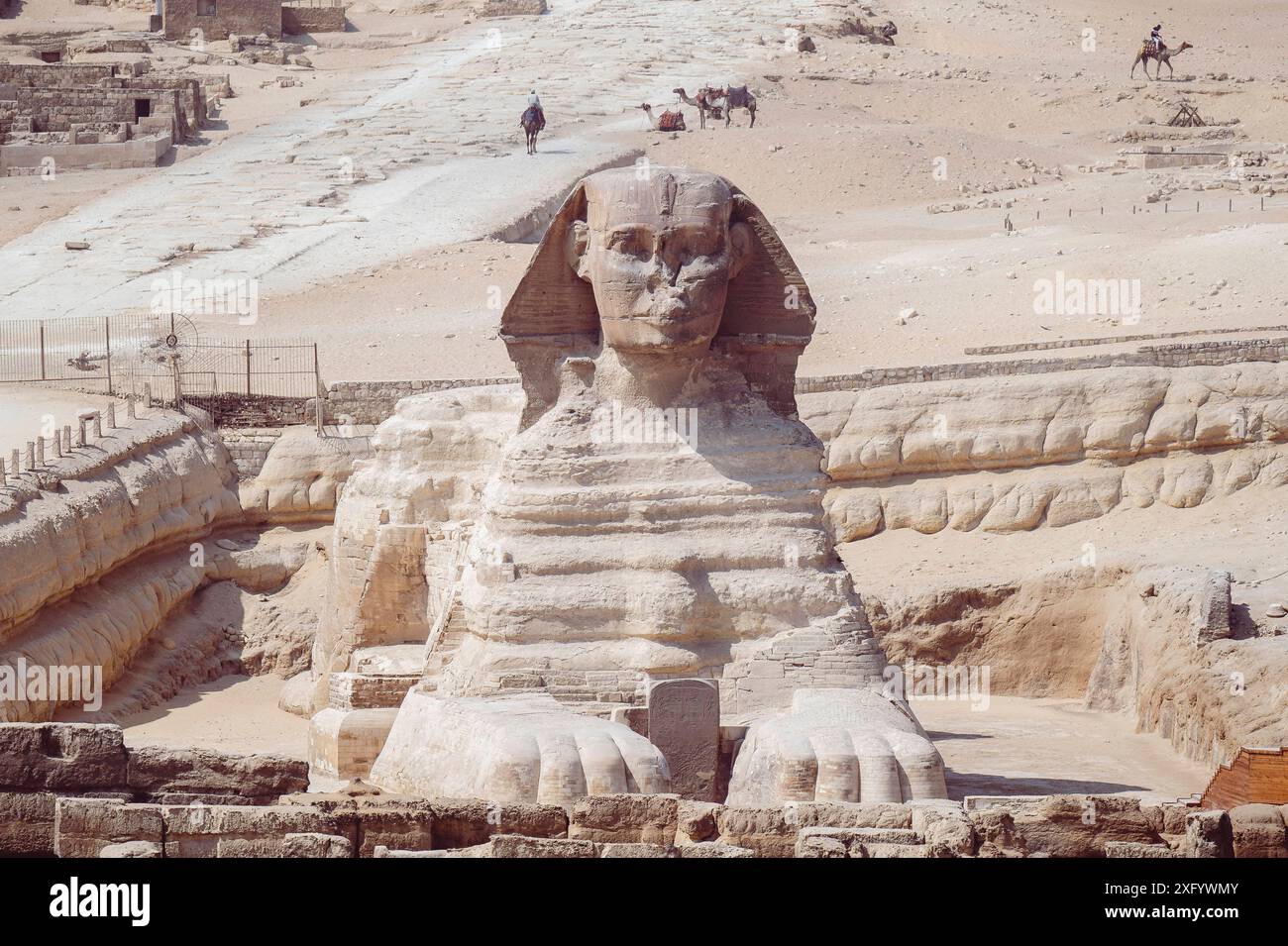 The Great Sphinx of Giza against the background of the desert. Egypt ...