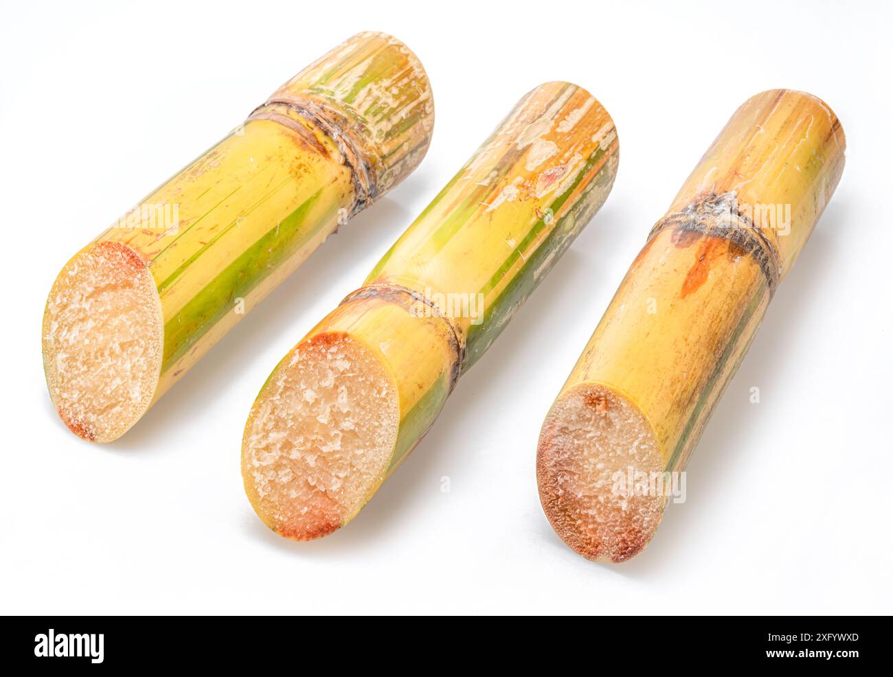 Pieces of sugarcane stalk isolated on white background Stock Photo - Alamy