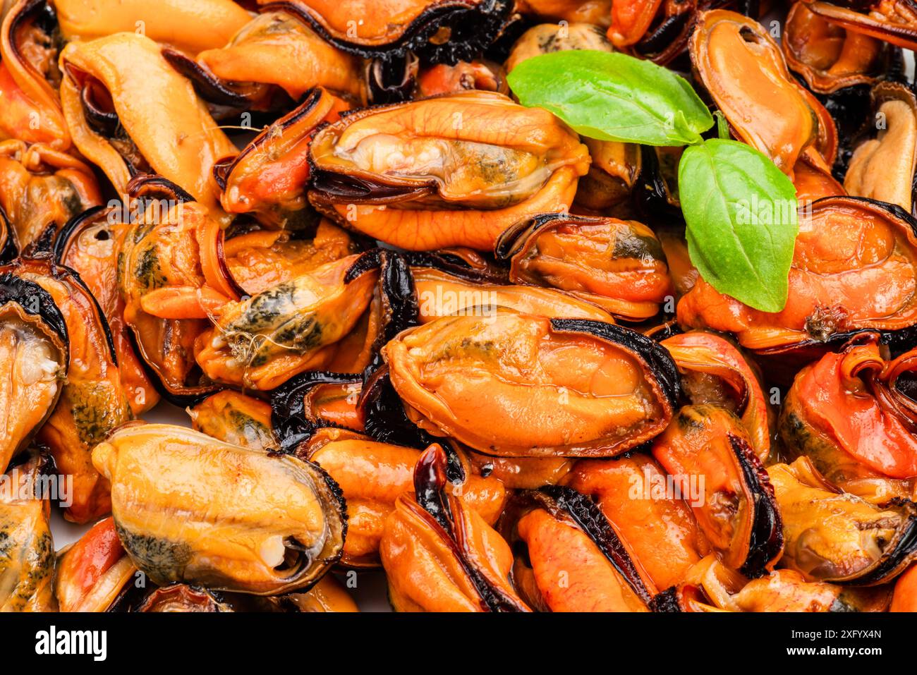 Edible raw clams isolated on white background. Delicacy food Stock ...