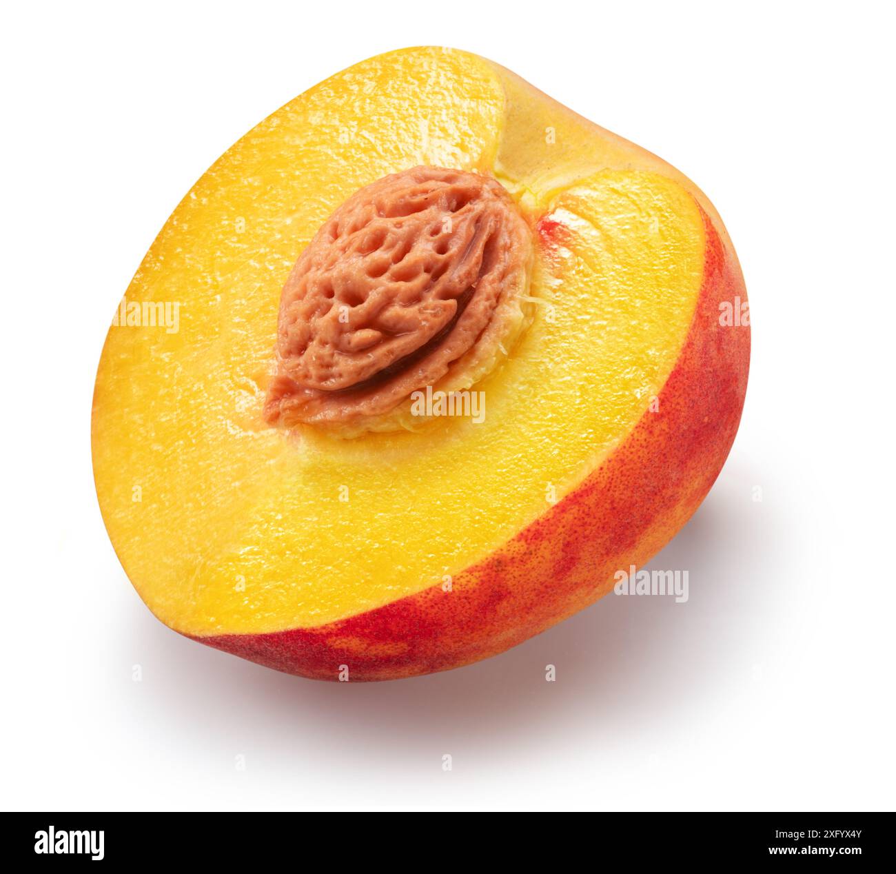 Peach Seed Cross Section