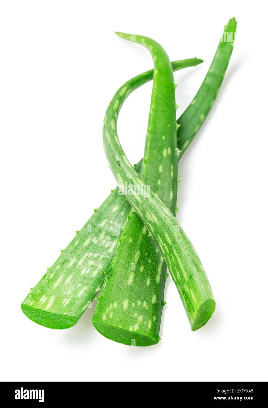Fresh cuts of aloe Vera leaves isolated on white background Stock Photo ...