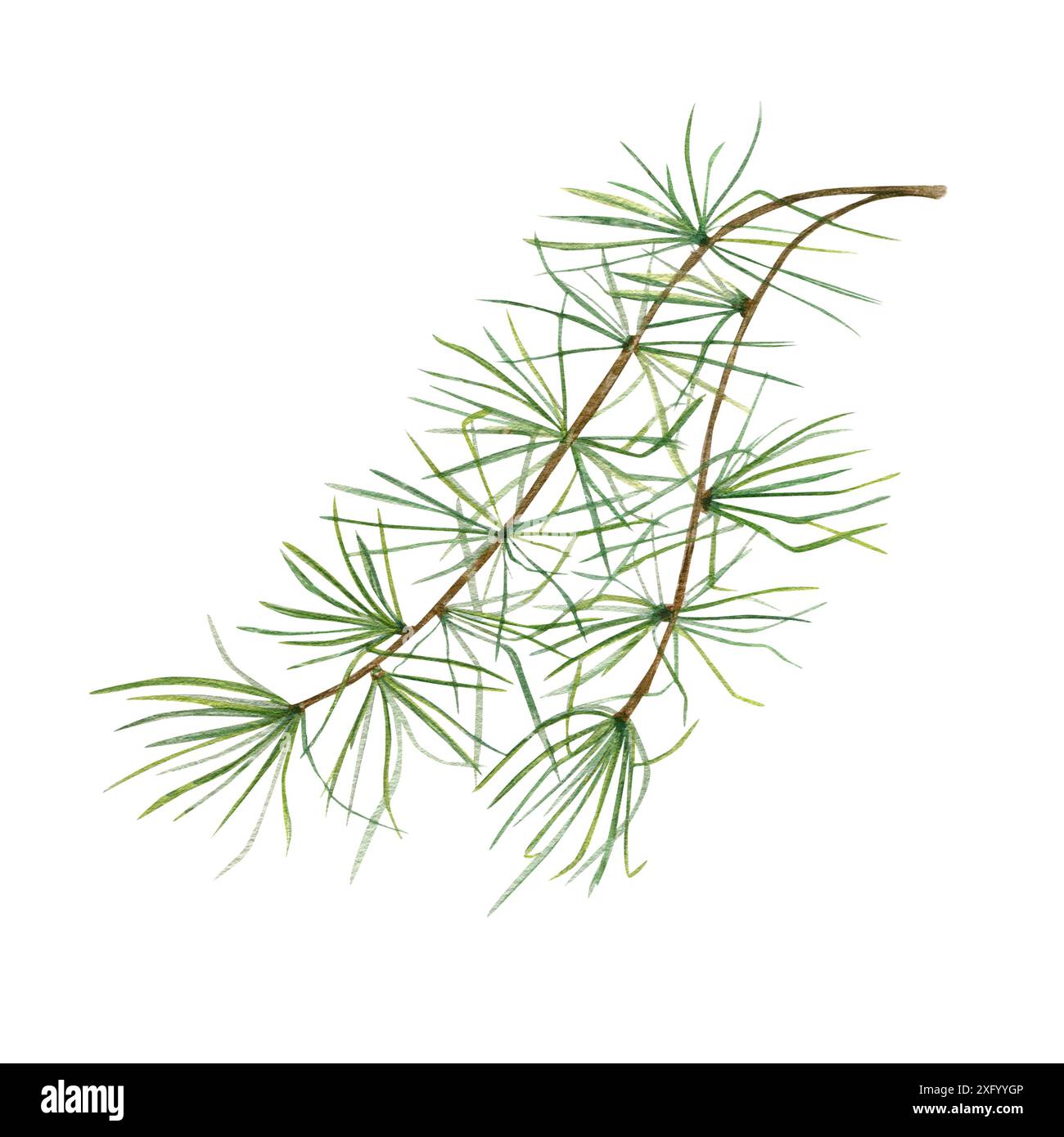 Featuring needle hi-res stock photography and images - Alamy