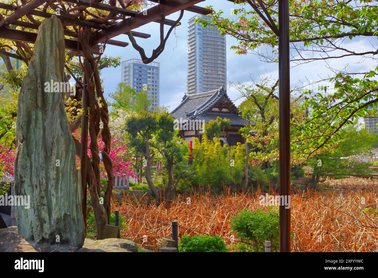 Daikokutendo shrine in Shinobazu pond, Ueno, Taito, Tokyo, Japan Stock ...