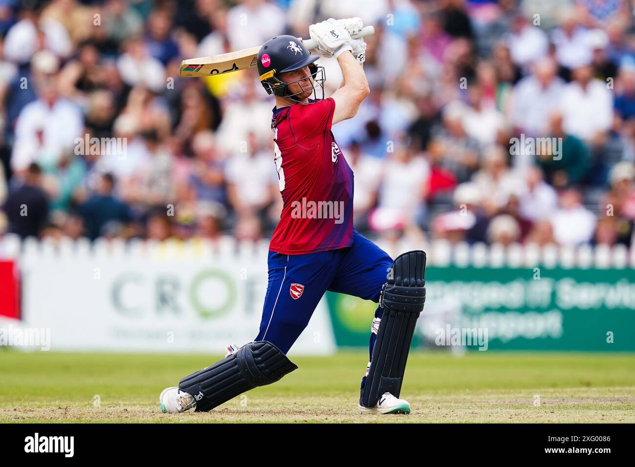 Joey evison hi-res stock photography and images - Alamy