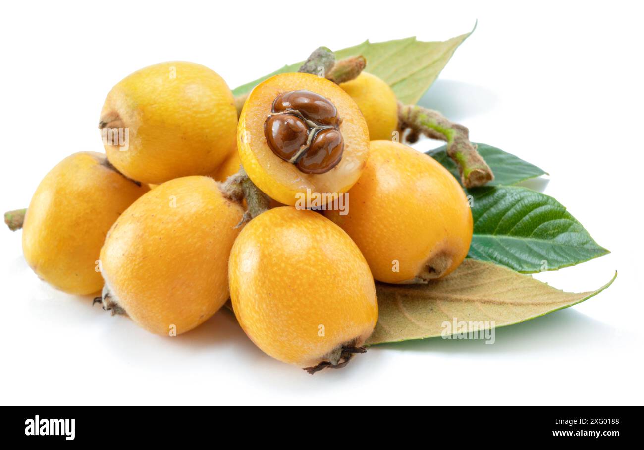 Ripe perfect loquats fruits with green leaves isolated on white ...