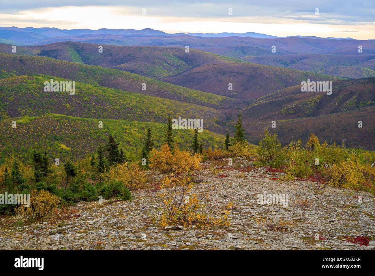 Eagle Summit tundra in the White Mountains between Fairbanks and Circle ...