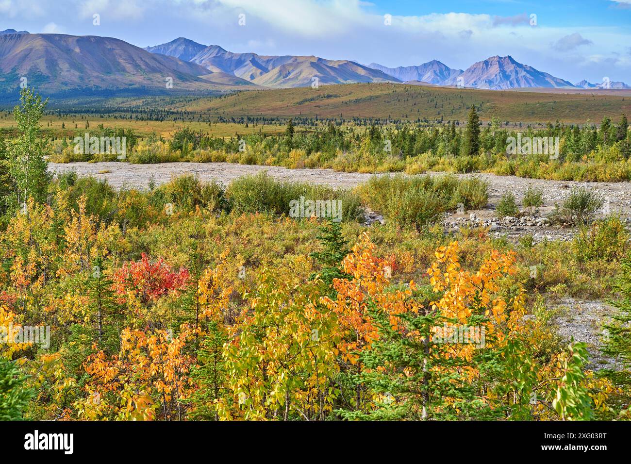 Landscape of Denali National Park, Alalska, USA Stock Photo - Alamy