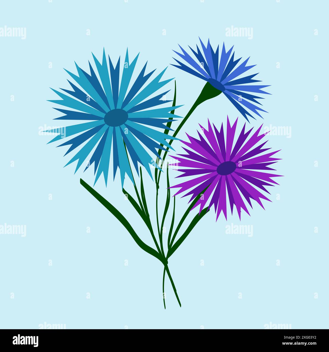 Bouquet of blue and purple field cornflowers. Beautiful flower with ...