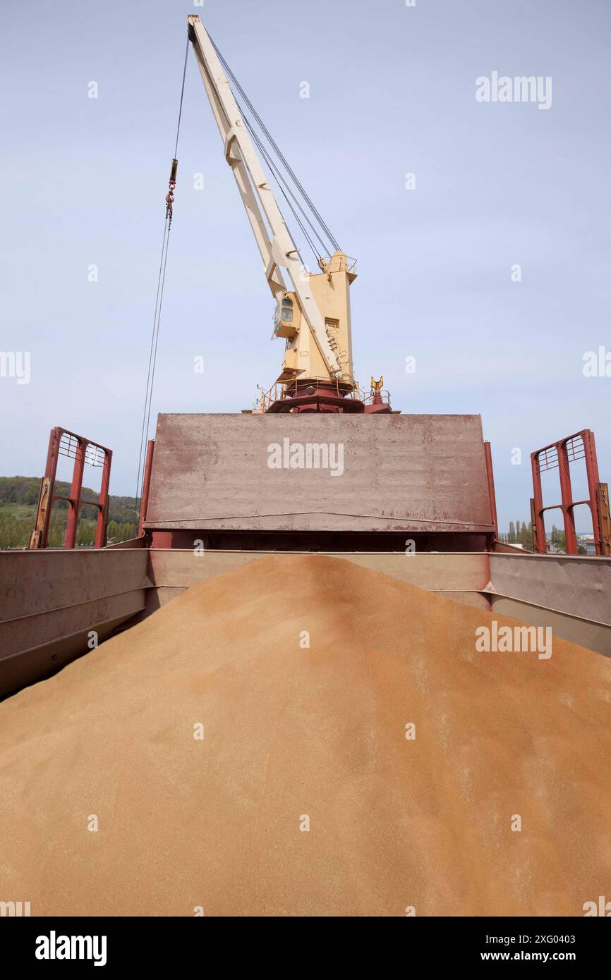Loading wheat from a cargo ship, grain port, port of Rouen, Normandy ...