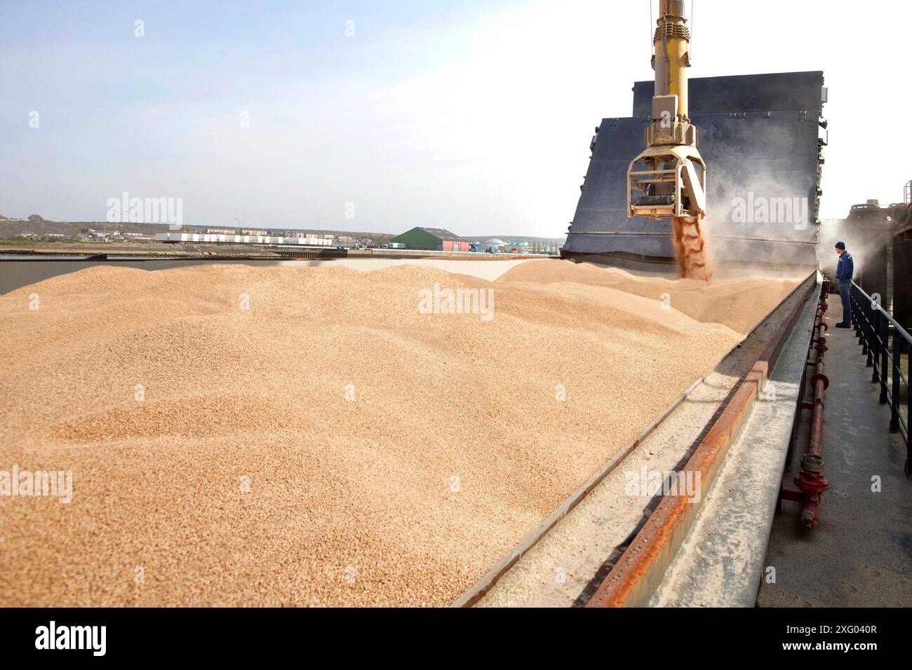 Loading wheat from a cargo ship, grain port, port of Rouen, Normandy ...