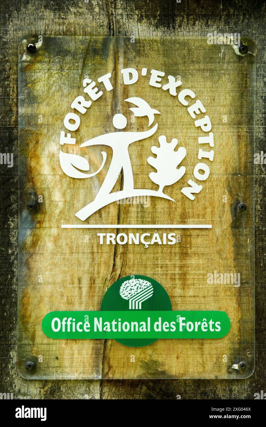 Label Forêt d'Exception - Forêt de Troncais - Allier. The Troncais ...