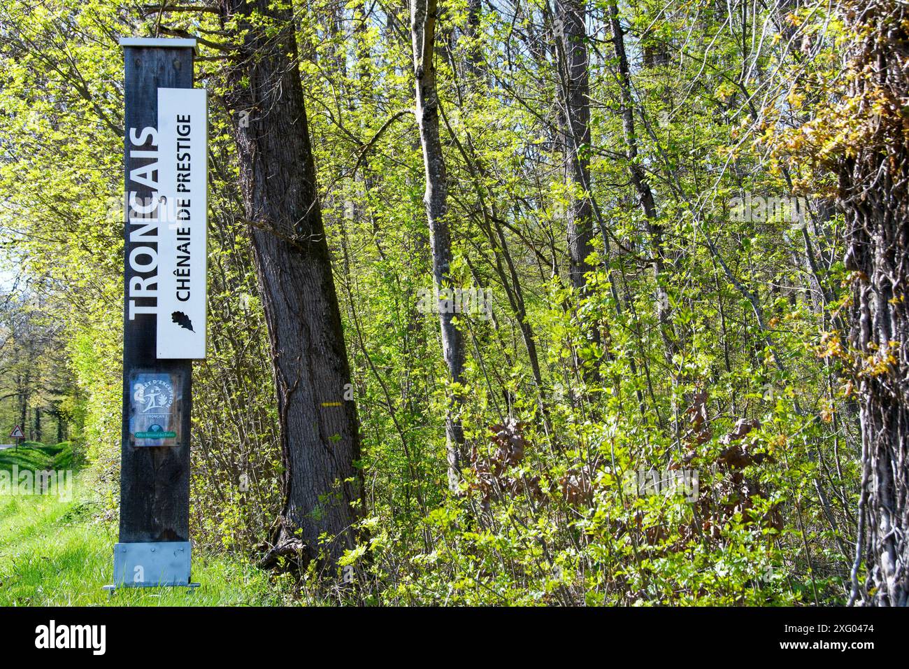 Troncais Chênaie de Prestige" sign - Exceptional forest - at the ...