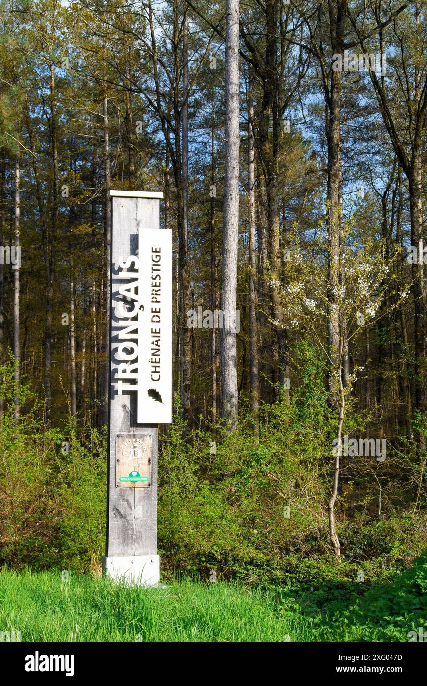 Troncais Chênaie de Prestige" sign - Exceptional forest - at the ...