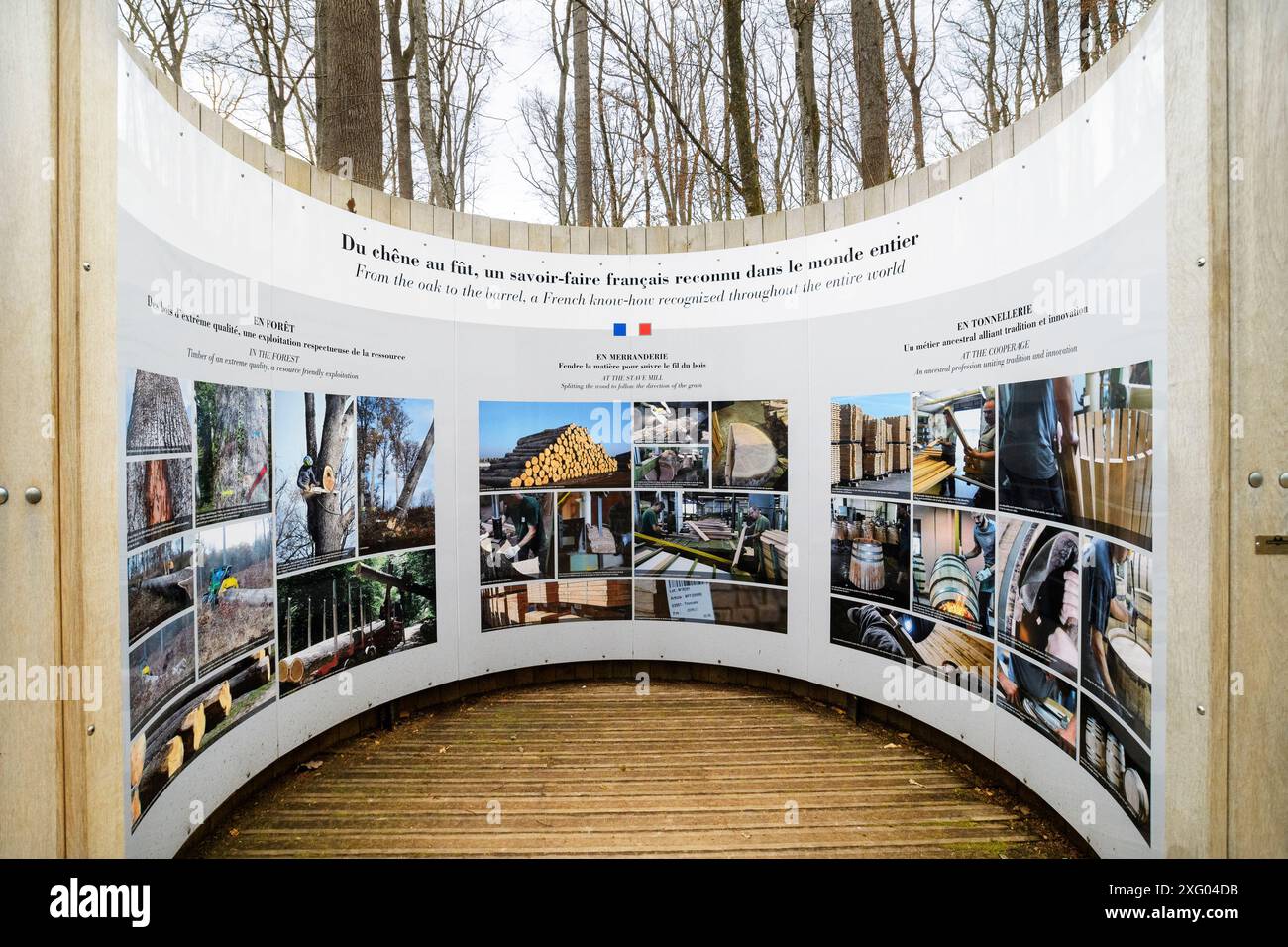 Panoramic view of the oak destination in the Forêt de Troncais - Allier ...