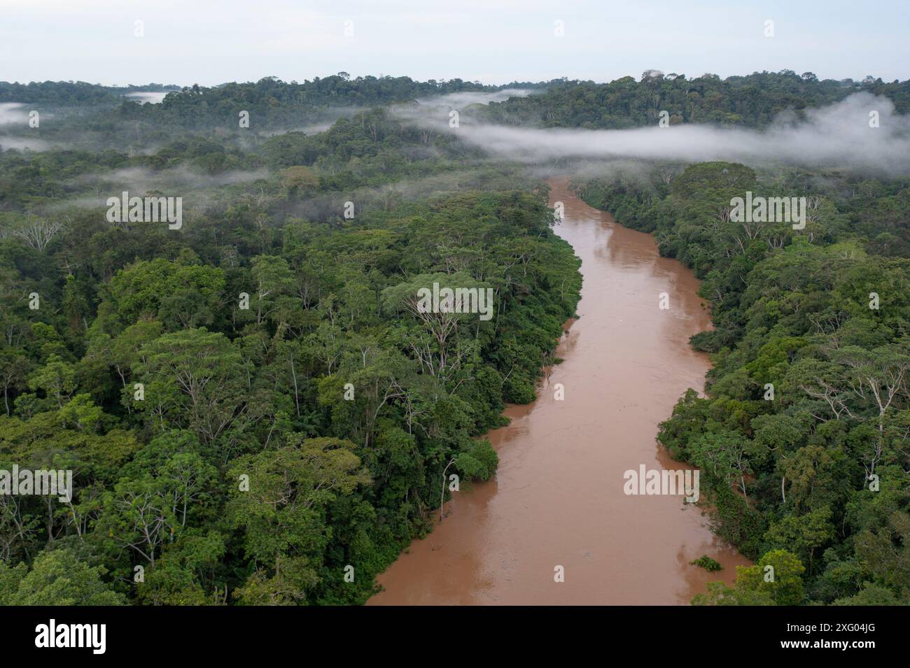 River and canopy of the equatorial forest, Yasuni Park, Ecuador Stock ...