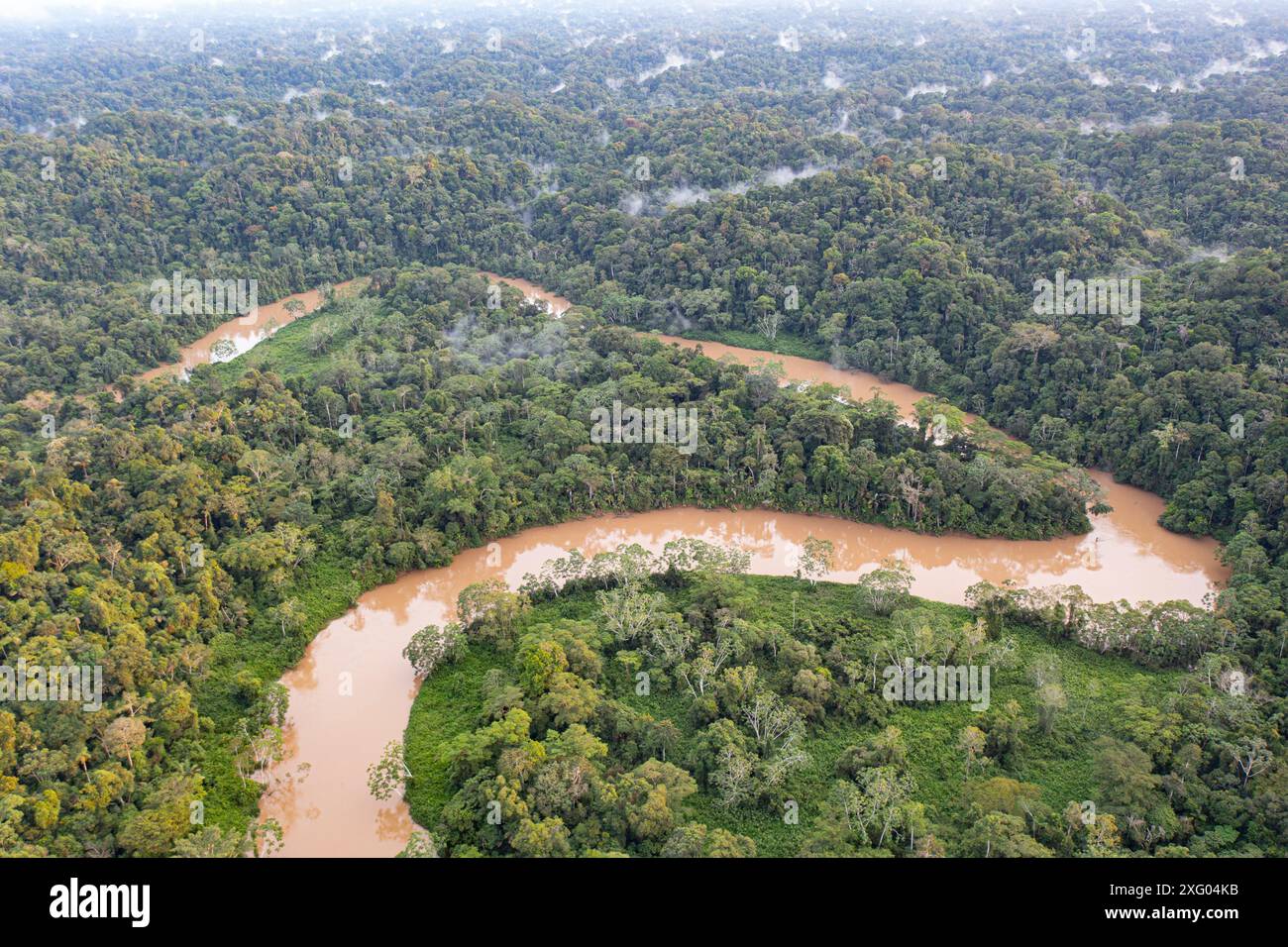 Rio Tiputini and rainforest canopy, Yasuni Park, Ecuador Stock Photo ...