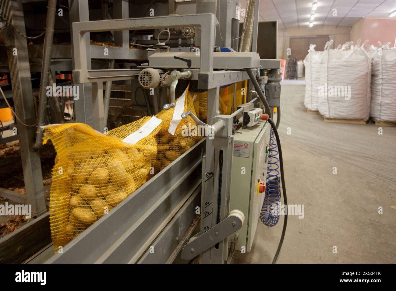 Potatoes are harvested, sorted, cleaned, graded, automatically bagged ...