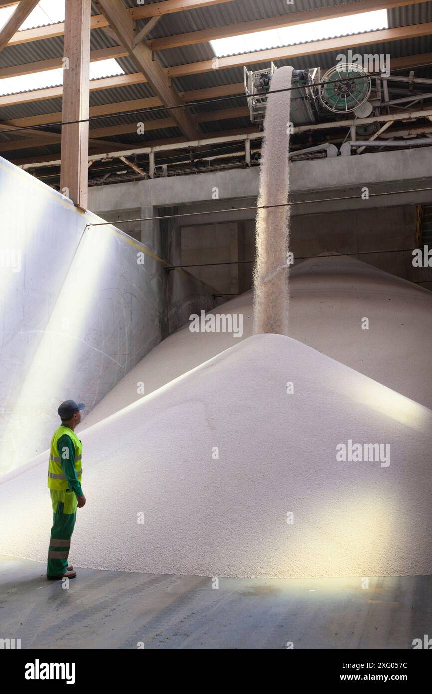 Storage and bagging of solid granular fertilizers, in big bags ...