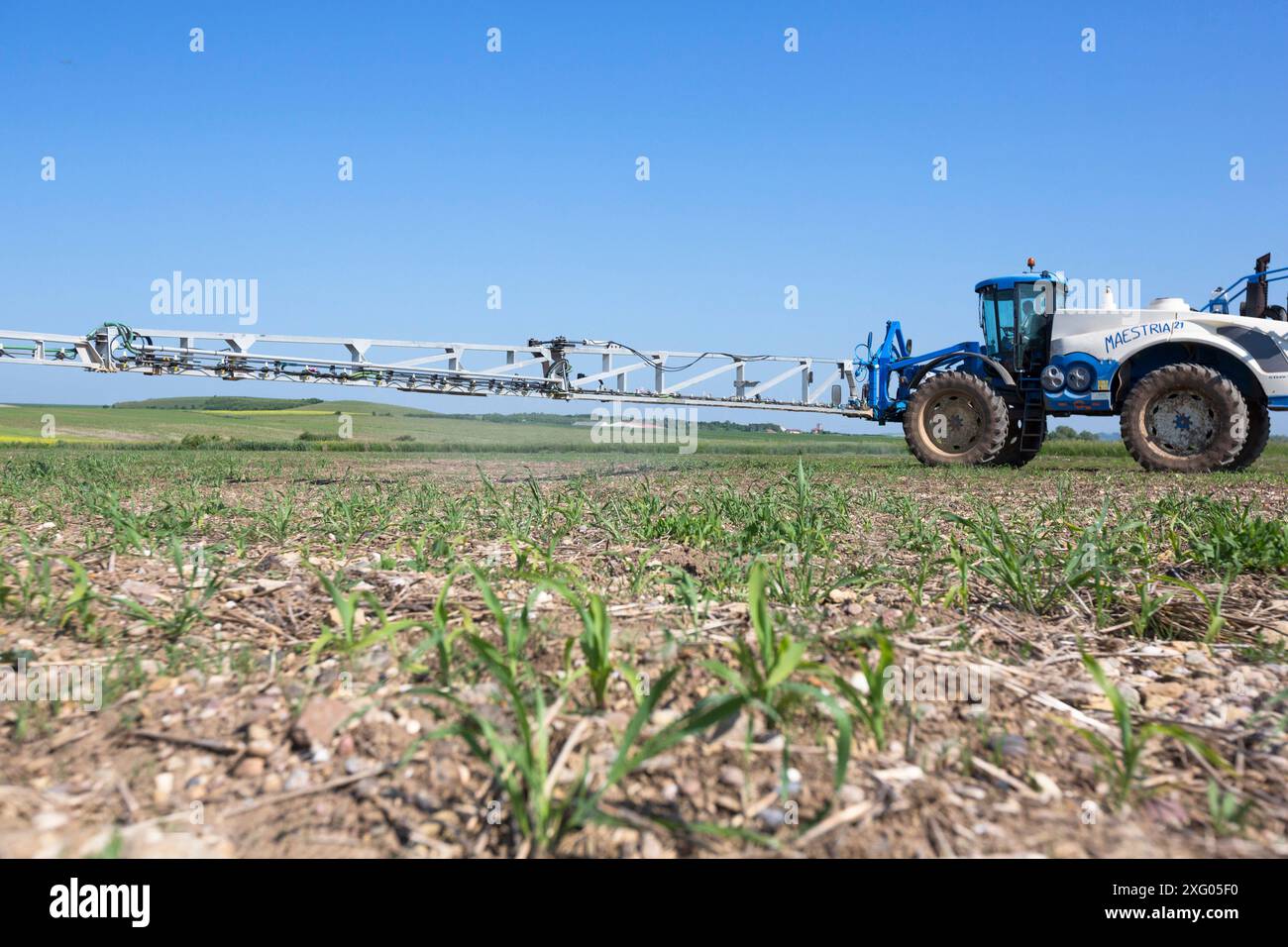 Weeding maize at the 4-leaf stage with a self-propelled sprayer, France ...