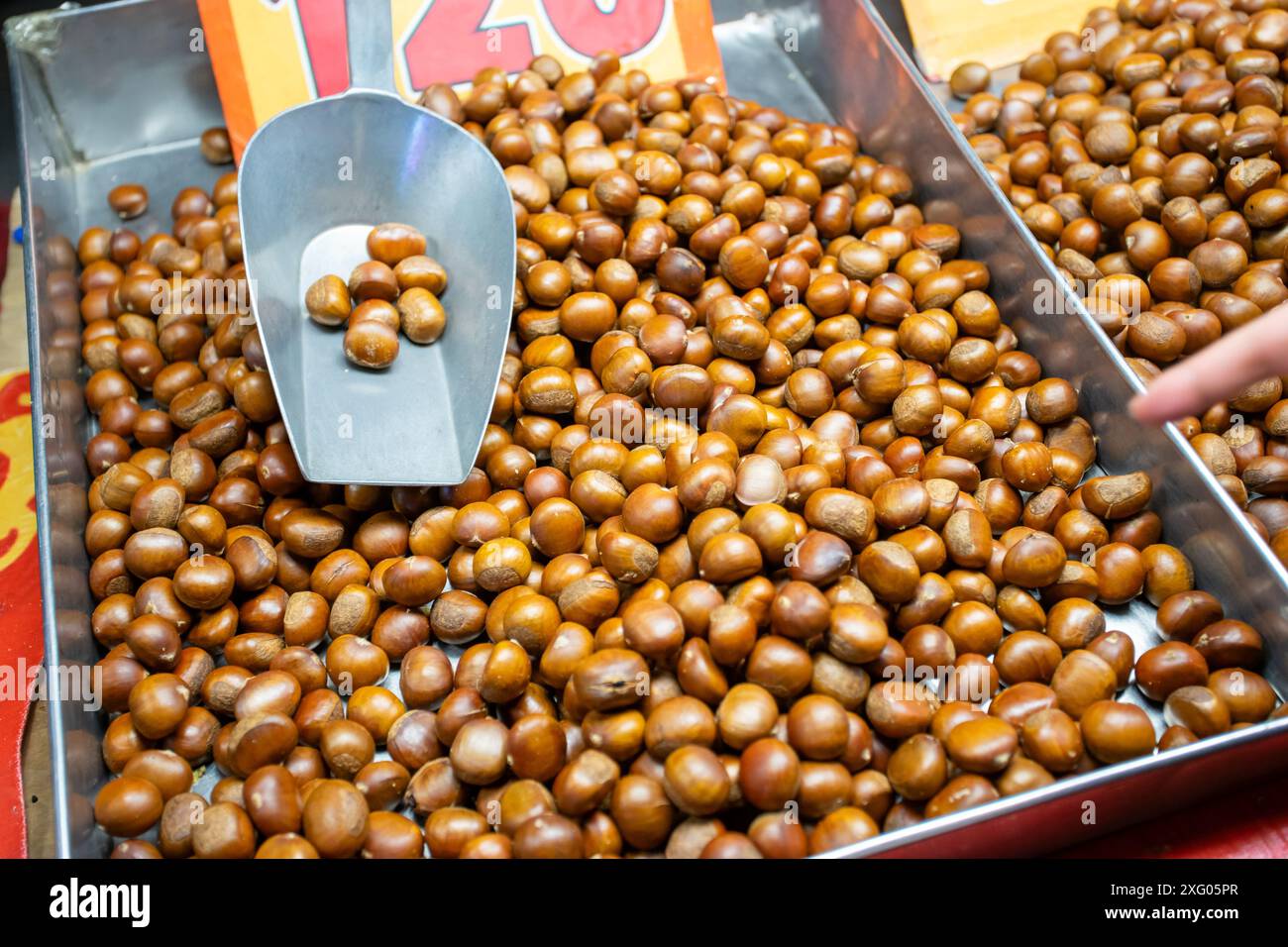 A stock photo of chestnuts typically features a close-up view of these ...