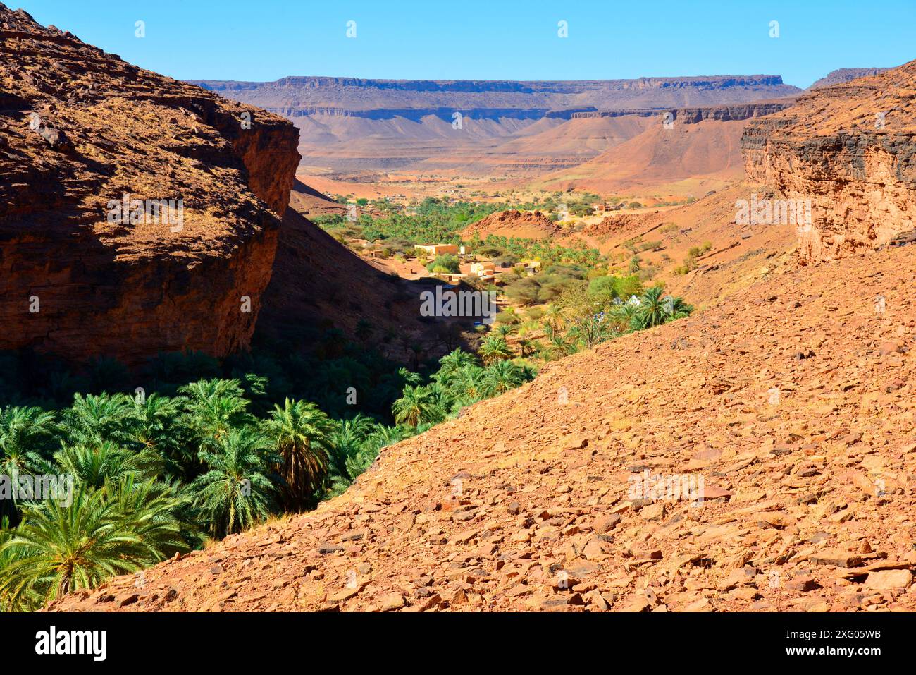View on the palm trees of the oasis of Tergit. Adrar. Mauritania Stock ...