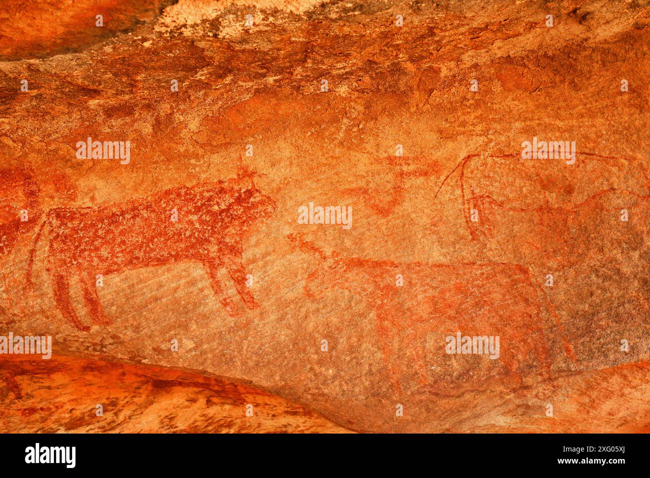 Cave paintings at the rock shelter of Agrour Amogjar discovered by ...