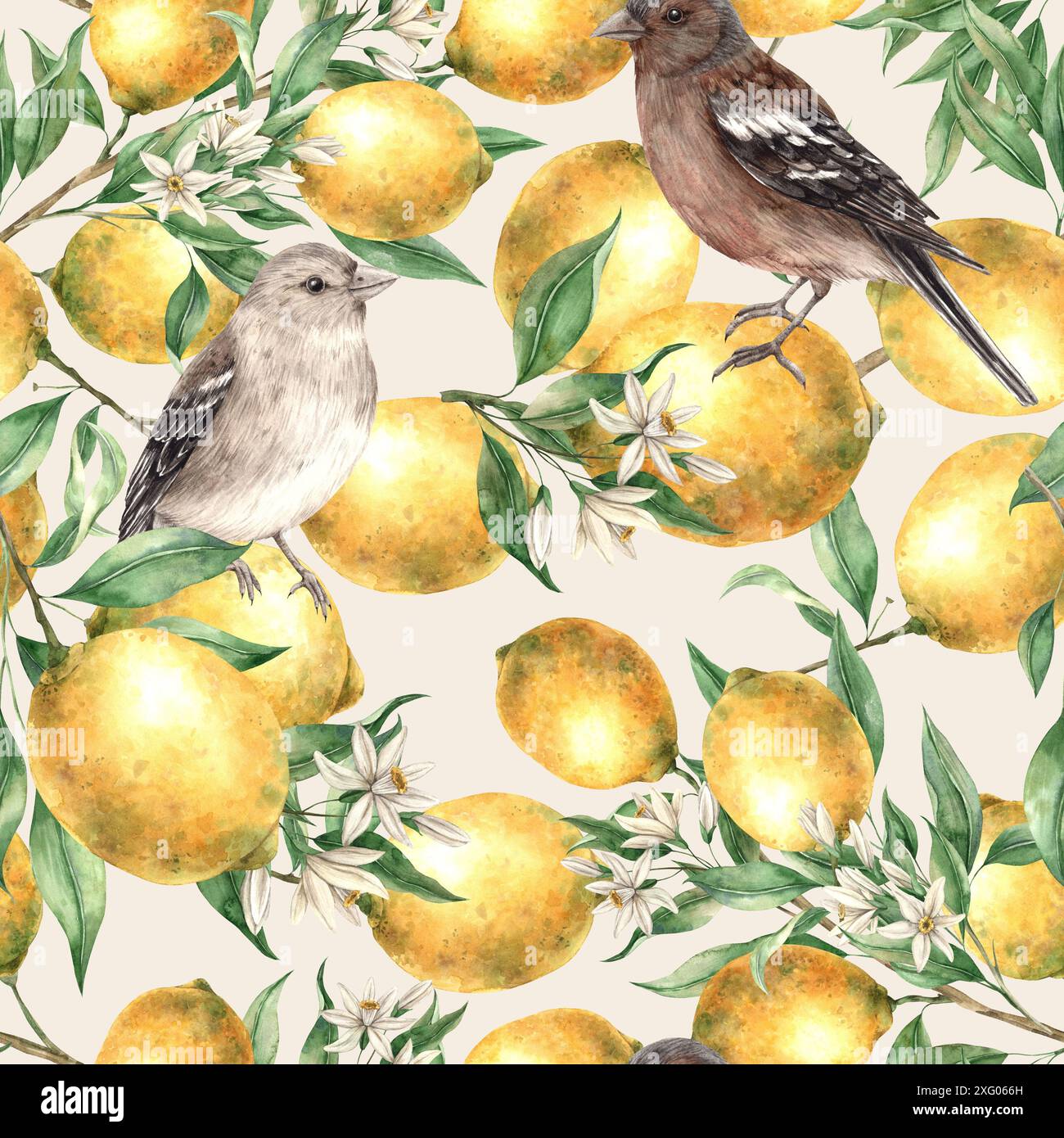 Seamless pattern of yellow lemon branches, leaves and flowers with ...