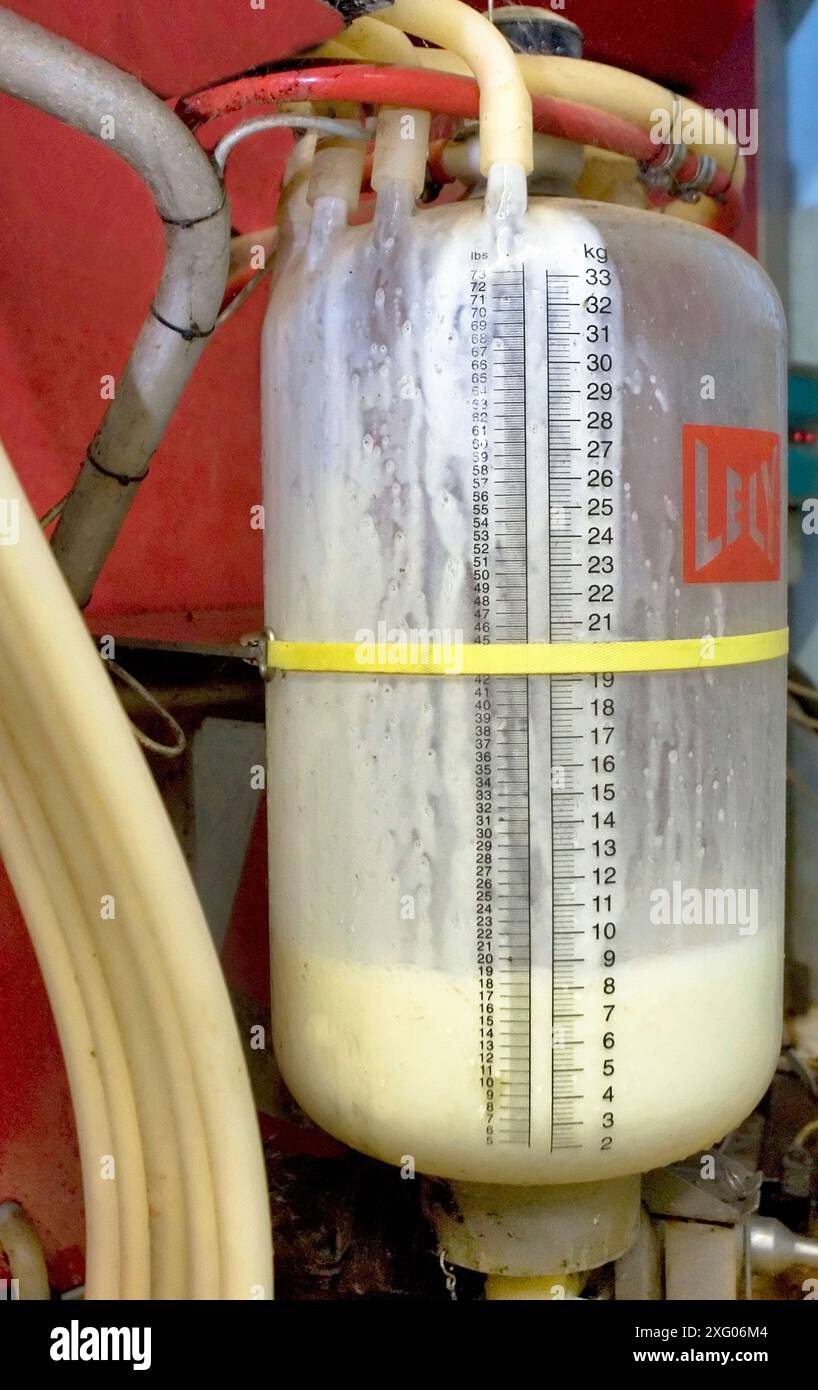 Automatic milking robot, milk expansion tank, Holstein cattle breeding Stock Photo - Alamy