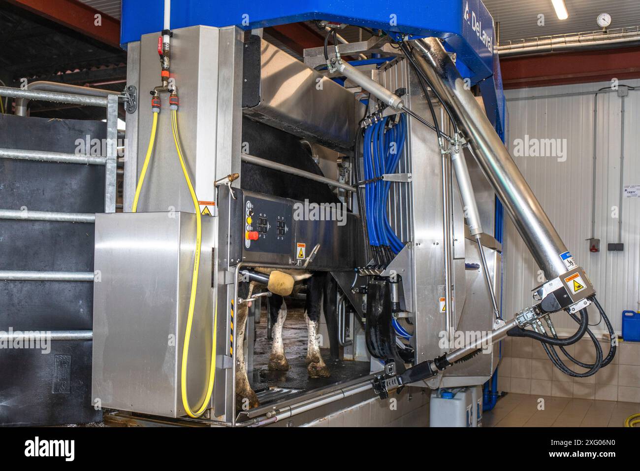 Automatic milking robot, Delaval blue milking robot, with 3d camera ...