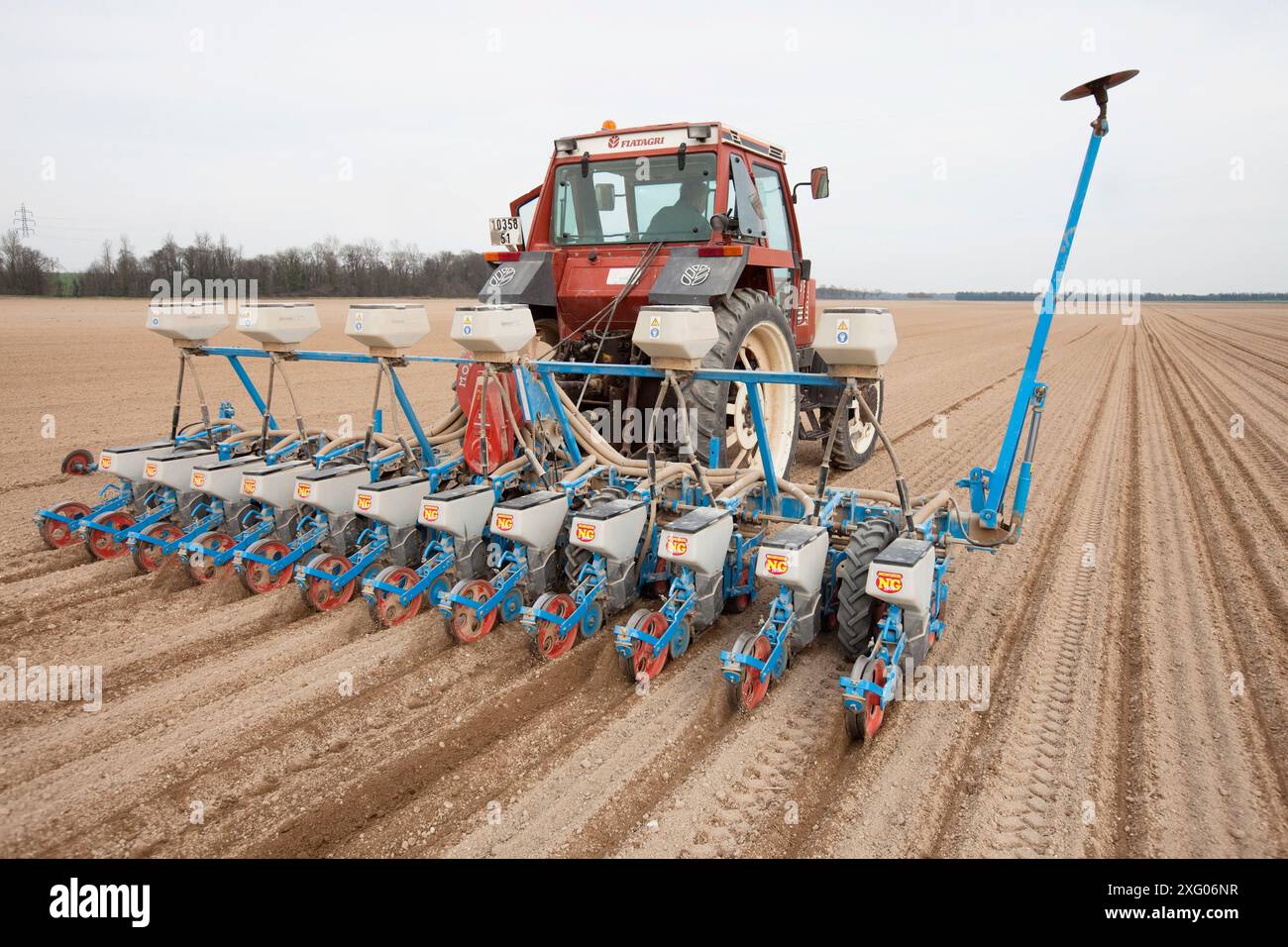 Sowing beet with a 12-row precision drill on loamy soil, Marne, France ...