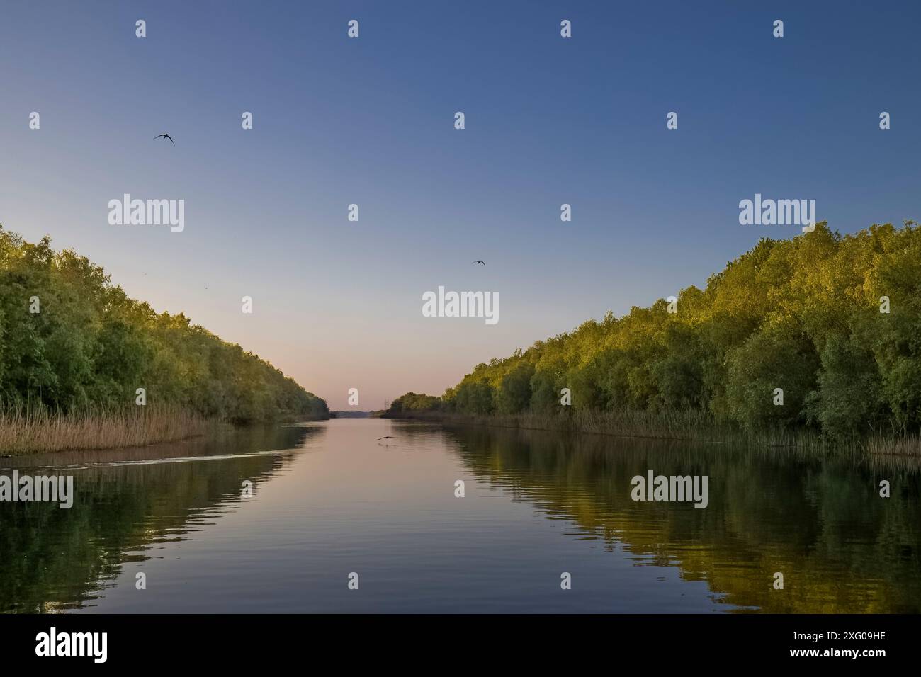Sulina Canal, one of the three main branches of the Danube Delta ...
